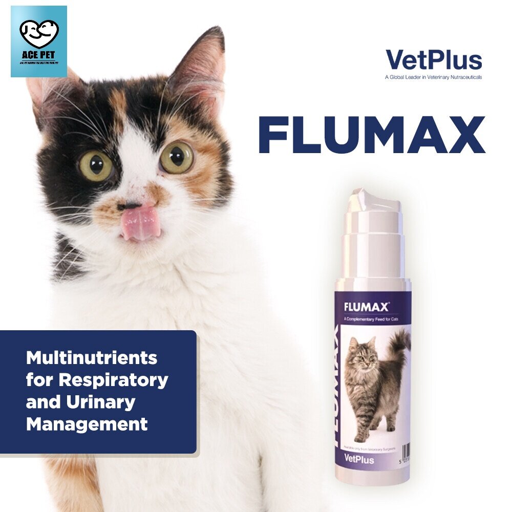 VetPlus Flumax Supplement Cat Flu Prevention Respiratory Tract Care multivitamin vitamin kucing ...