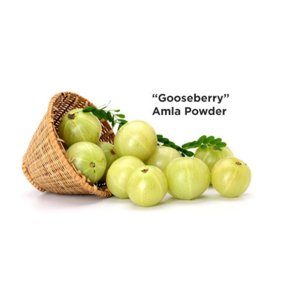 Aarshaveda Organic Amla Powder Gooseberry Phyllanthus Emblica 100g