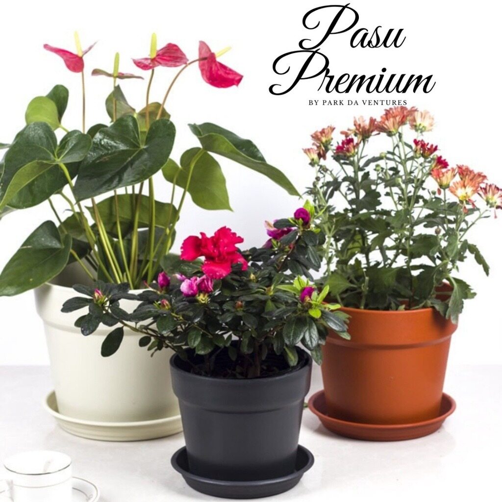 Pasu Bunga Premium Pasu Bunga Tebal Pasu Bunga Berkualiti Pasu Bunga ...