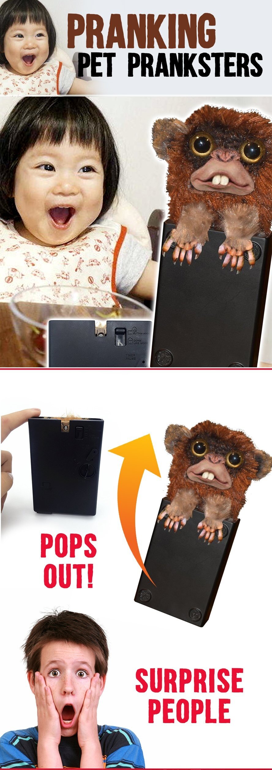 Pranking Pet Pranksters Get Ready, Hide, and Surprise! Pop Up Anywhere ...